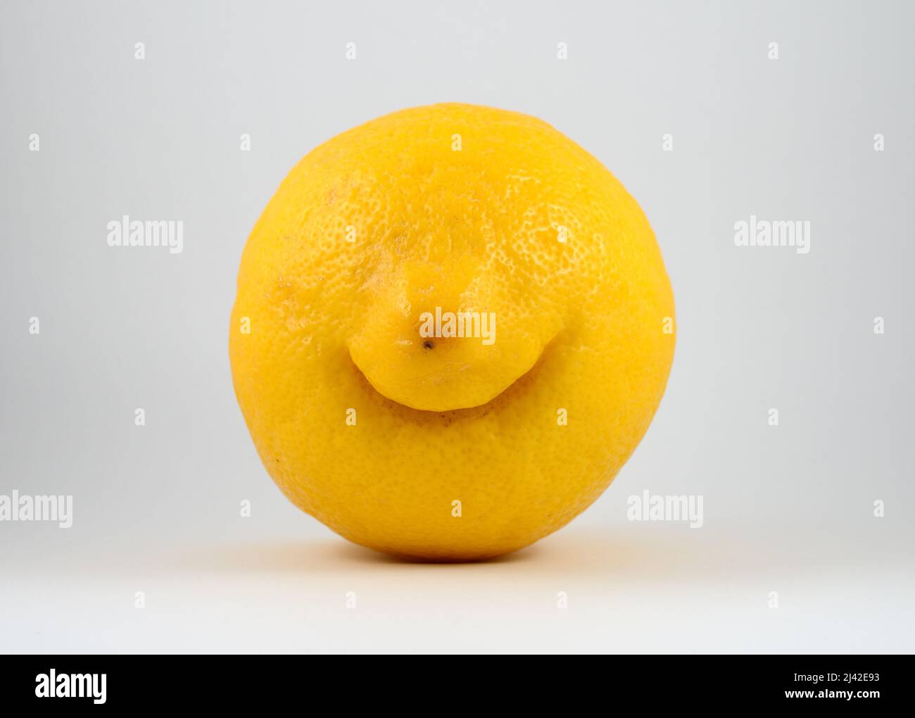 weird funny smiling lemon on neutral background Stock Photo - Alamy