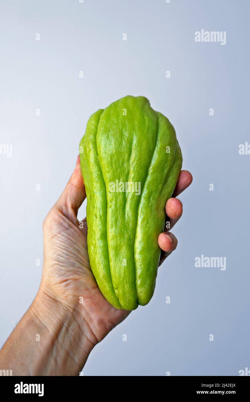 Chayote tropical fruit hi-res stock photography and images - Alamy