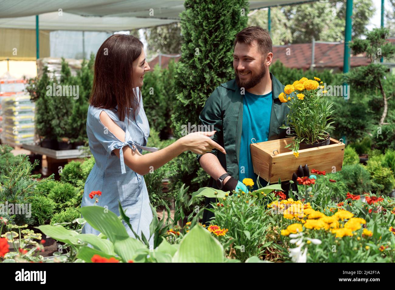 Worker helping female customer with plant in garden center Stock Photo ...