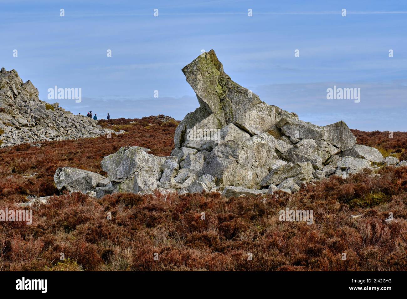 Quartzite outcrop on the Stiperstones between Wentnor and Snailbeach ...