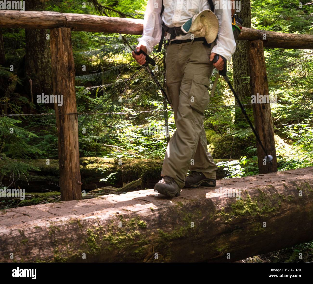 Log crossing hi-res stock photography and images - Alamy