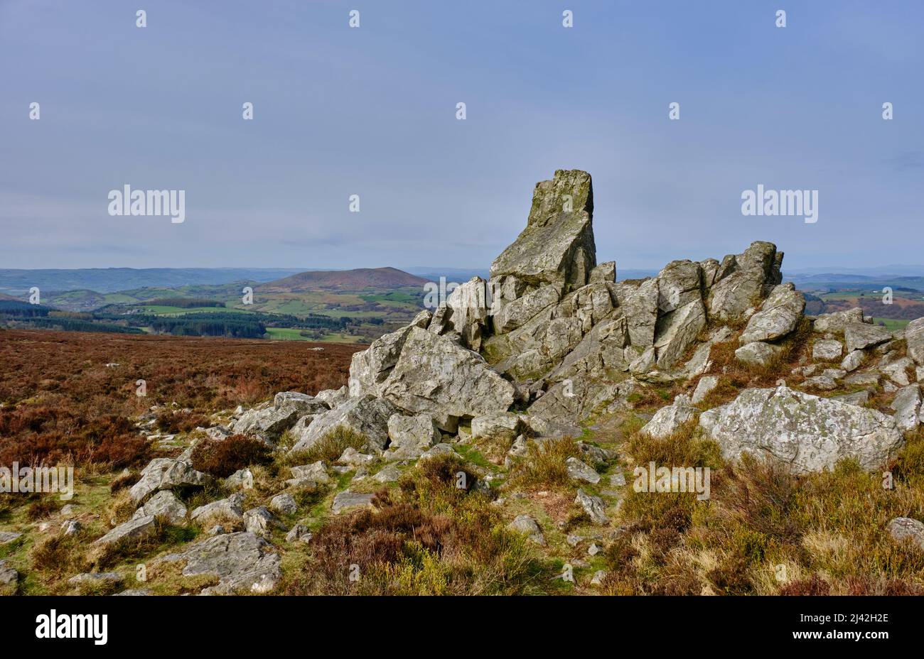 Quartzite outcrop on the Stiperstones between Wentnor and Snailbeach ...