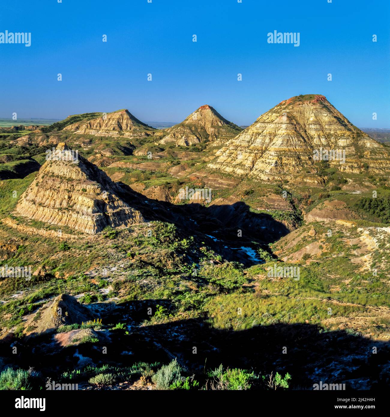 Mt 9851 hi-res stock photography and images - Alamy