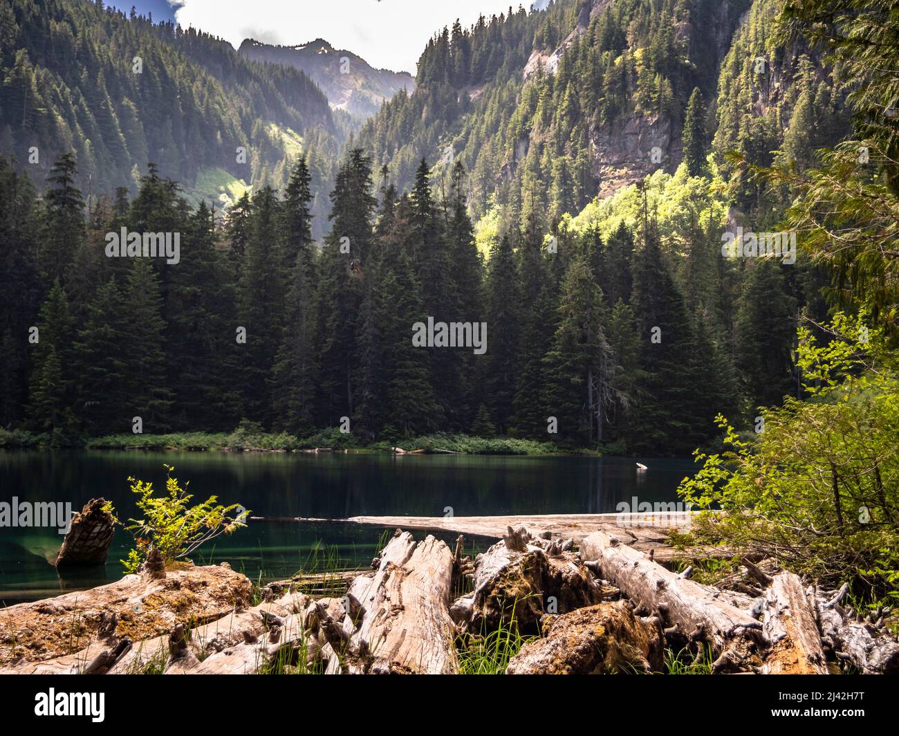 Pacific Northwest mountain view Stock Photo - Alamy