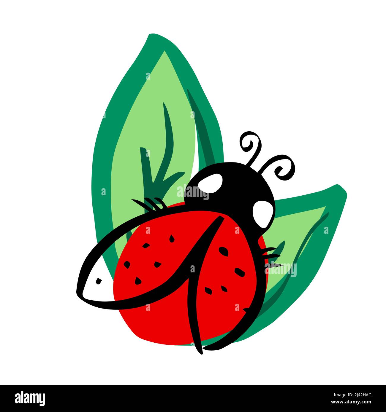 Cute ladybug or ladybird on a green leafs. Springtime. Nice design for ...