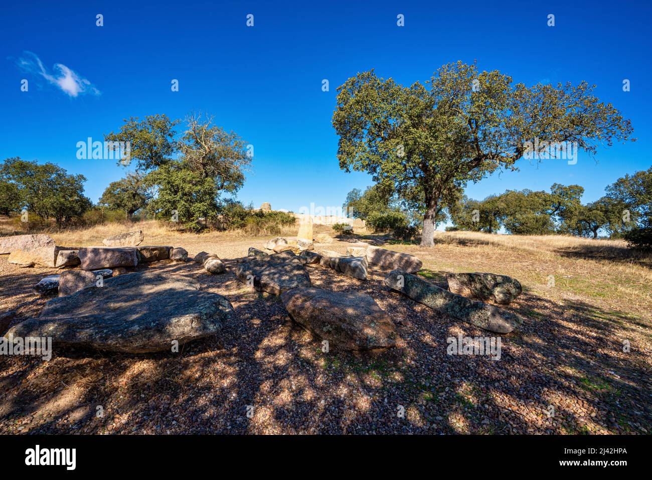 Dolmen of Lacara, funeral chamber. Ancient megalithic building near La ...