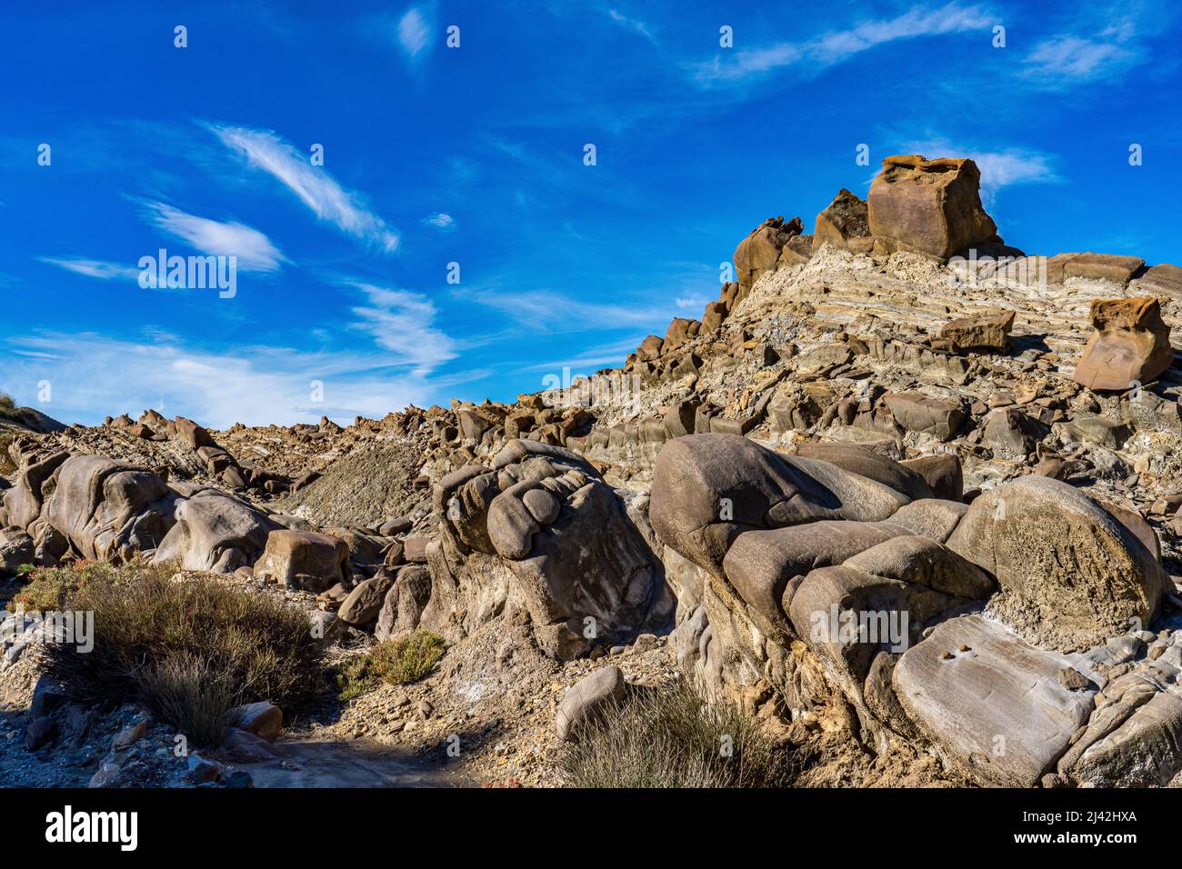 Dragon Tail, Colas de Dragon in Tabernas Desert in Almeria, Spain ...