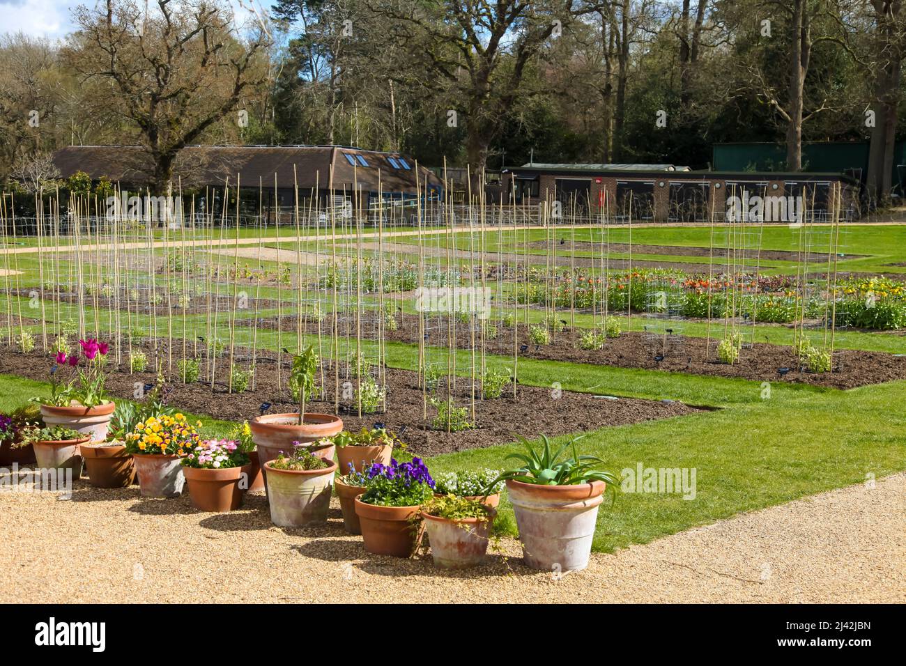 Trials Garden at RHS Garden Wisley, Surrey, England, UK, 2022 April ...