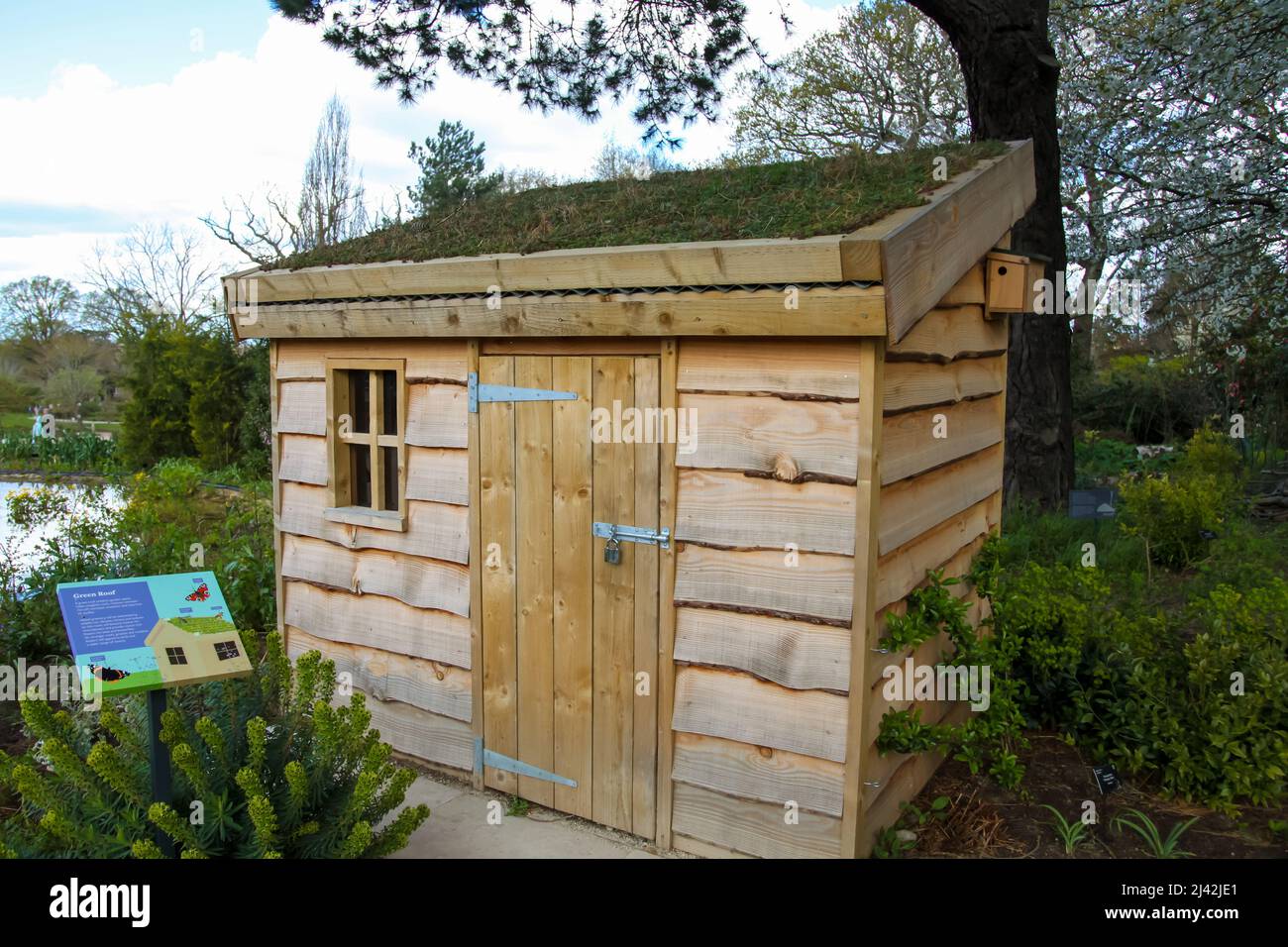 Green Roof shed at RHS Garden Wisley, Surrey, England, UK, 2022 April ...