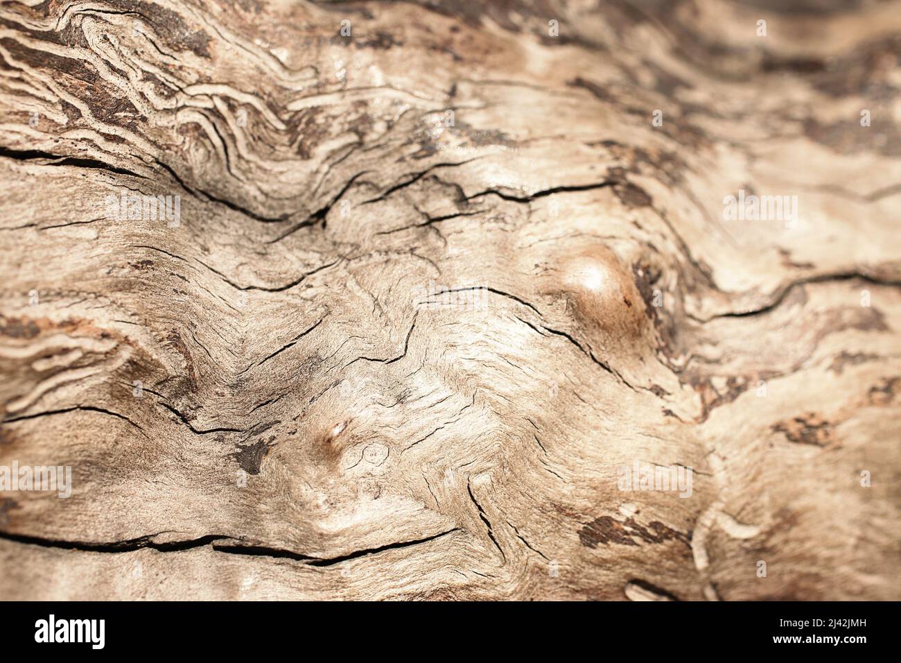 Backdrop of whimsical patterns hi-res stock photography and images - Alamy