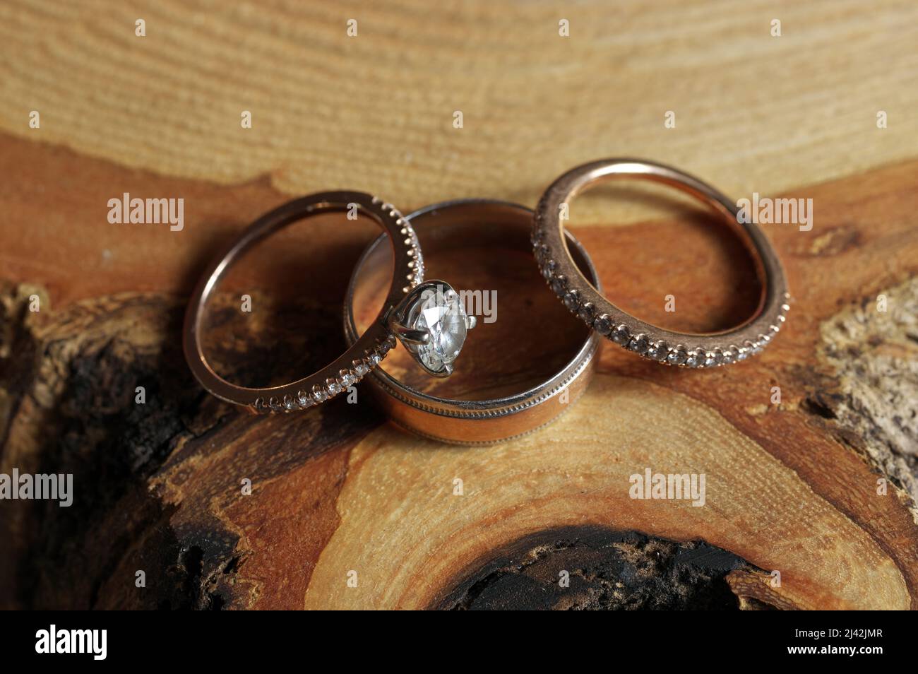 Gold tree hi-res stock photography and images - Alamy