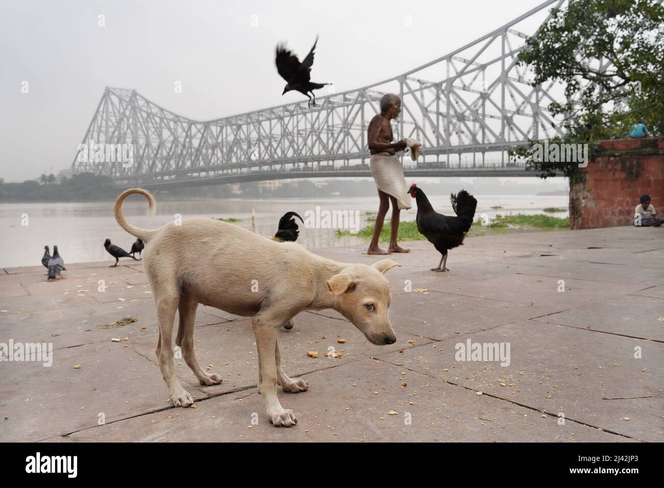 Story life Kolkata Stock Photo - Alamy