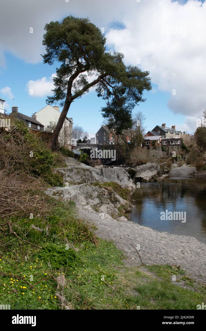 The River Wye at Rhayader, Powys, Wales, UK Stock Photo - Alamy