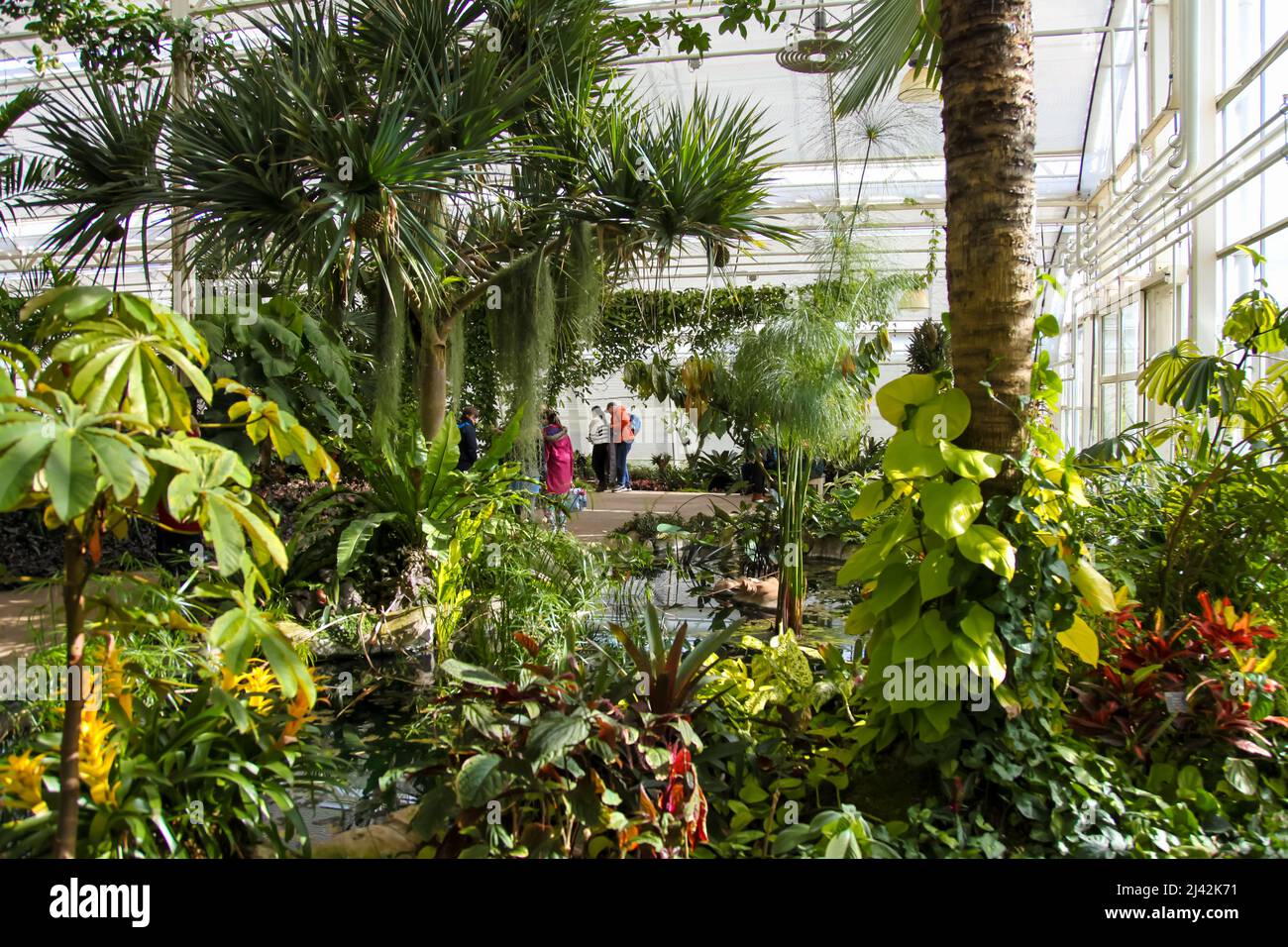 RHS Garden Wisley, Glass House, Surrey, England, UK, 2022 April Stock ...