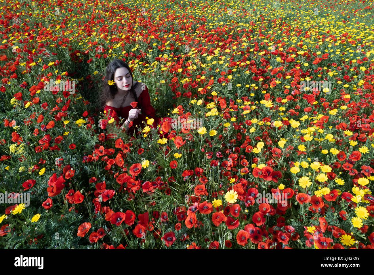 Girl laying in field flowers hi-res stock photography and images - Alamy