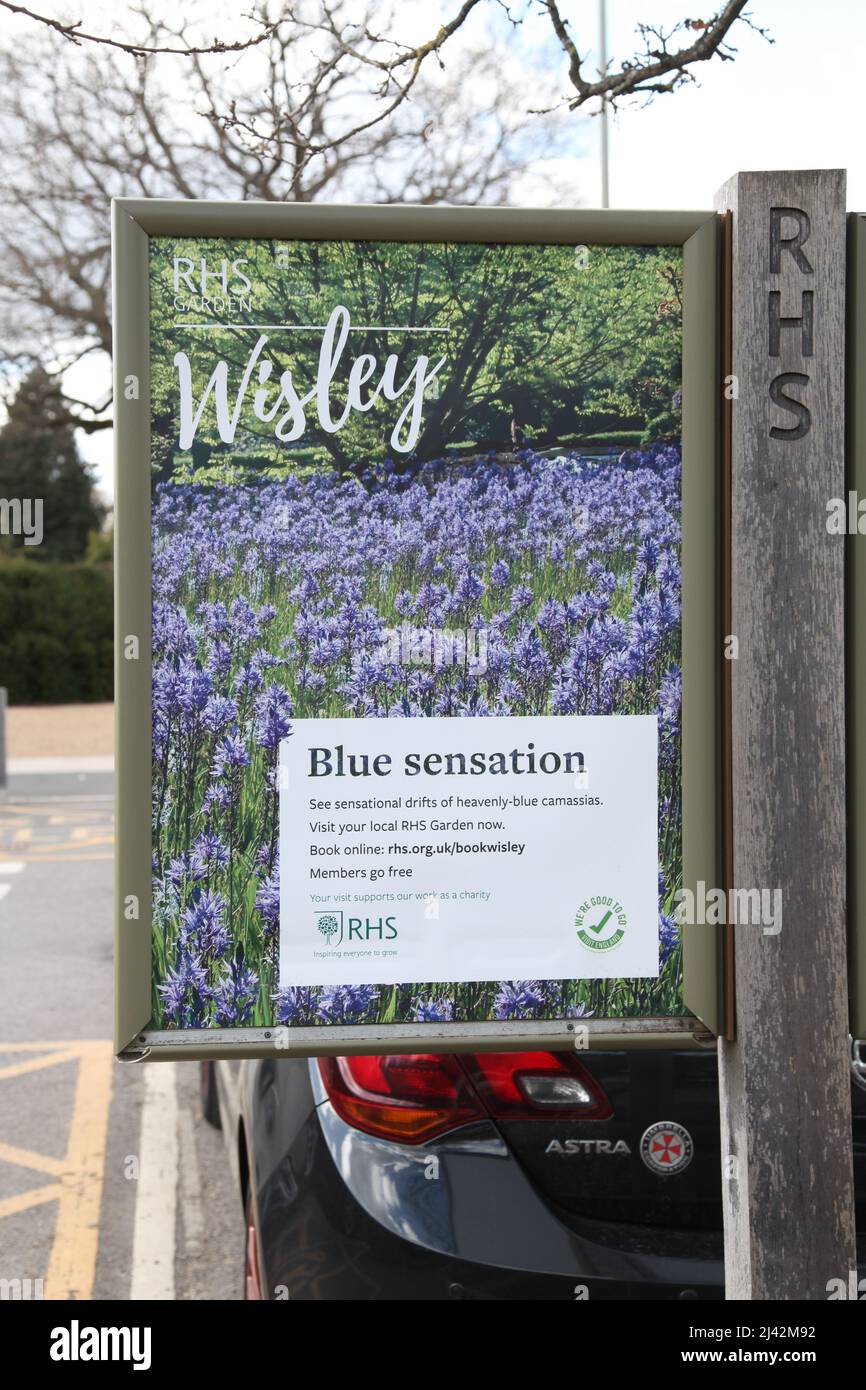 RHS Garden Wisley sign showing Blue Sensation, Wisley, Surrey, England ...