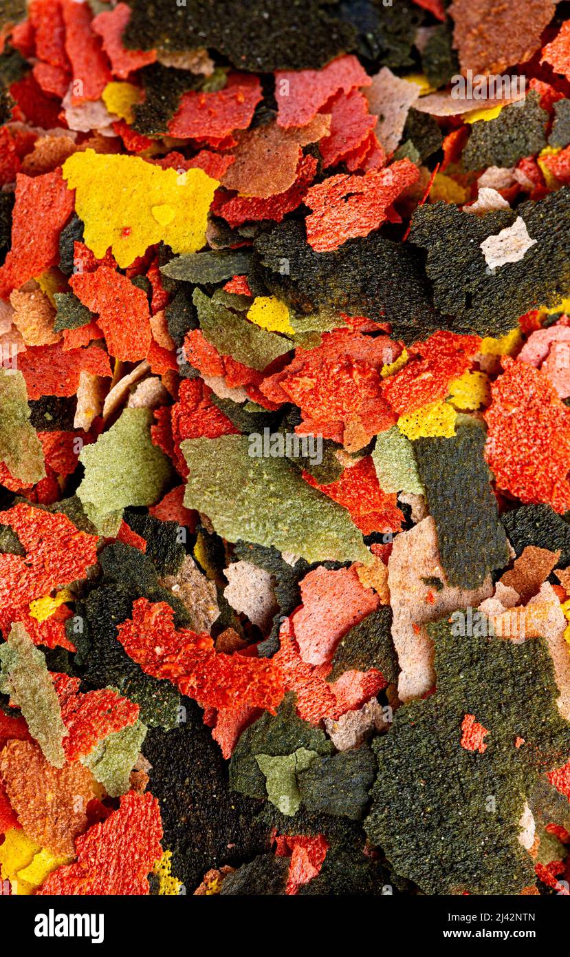 Dry colorful compound fish feed flakes. Top view Stock Photo - Alamy