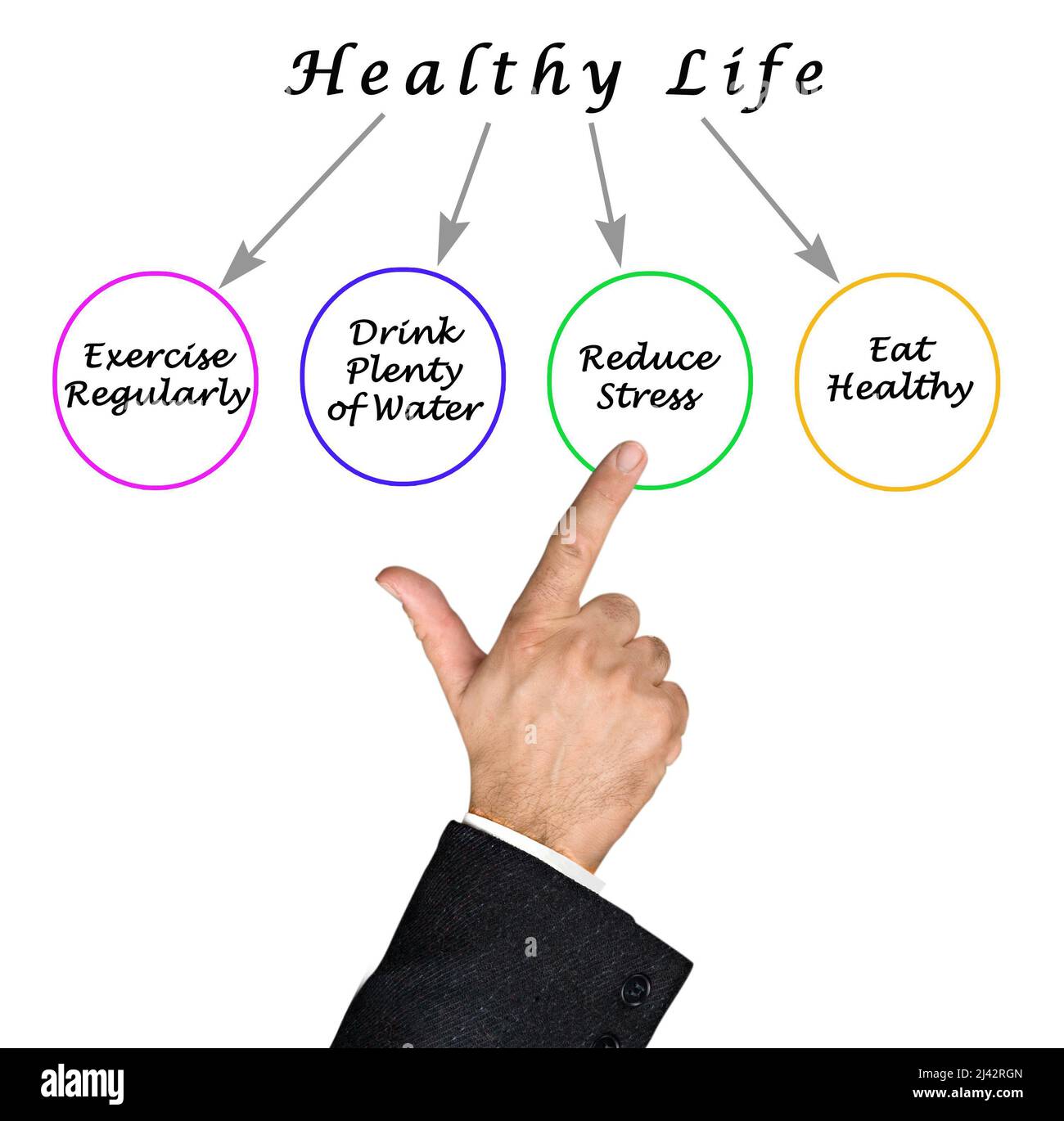 Presenting Diagram of healthy life Stock Photo - Alamy