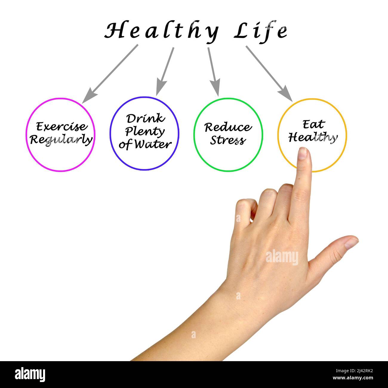 Presenting Diagram of healthy life Stock Photo - Alamy