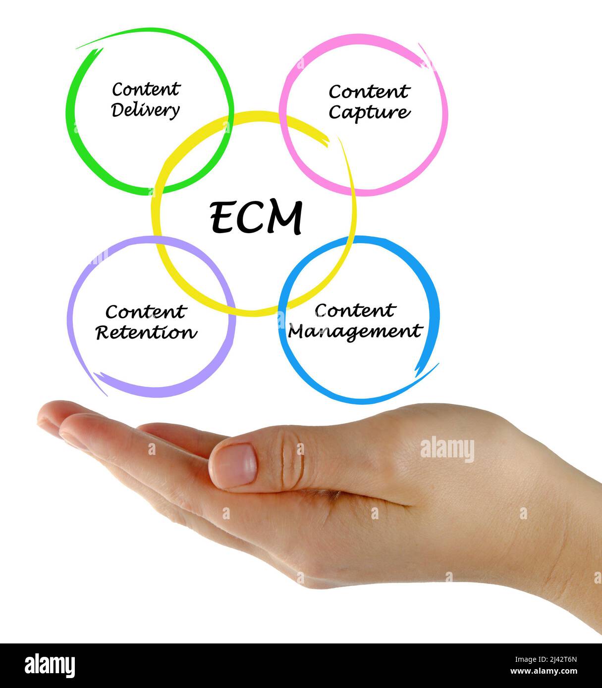 Content creator management Cut Out Stock Images & Pictures - Alamy