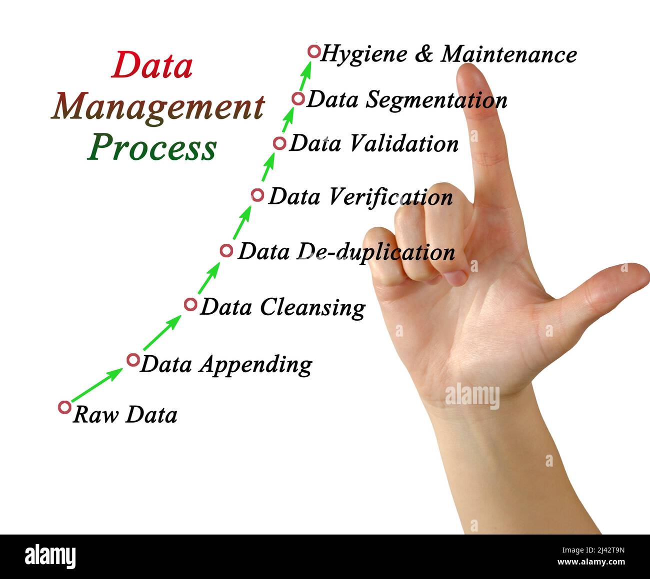 Components of Data Management Process Stock Photo - Alamy