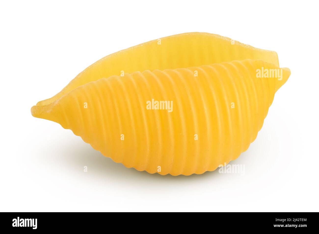 Uncooked dried conchiglie. Raw organic shell pasta isolated on white ...