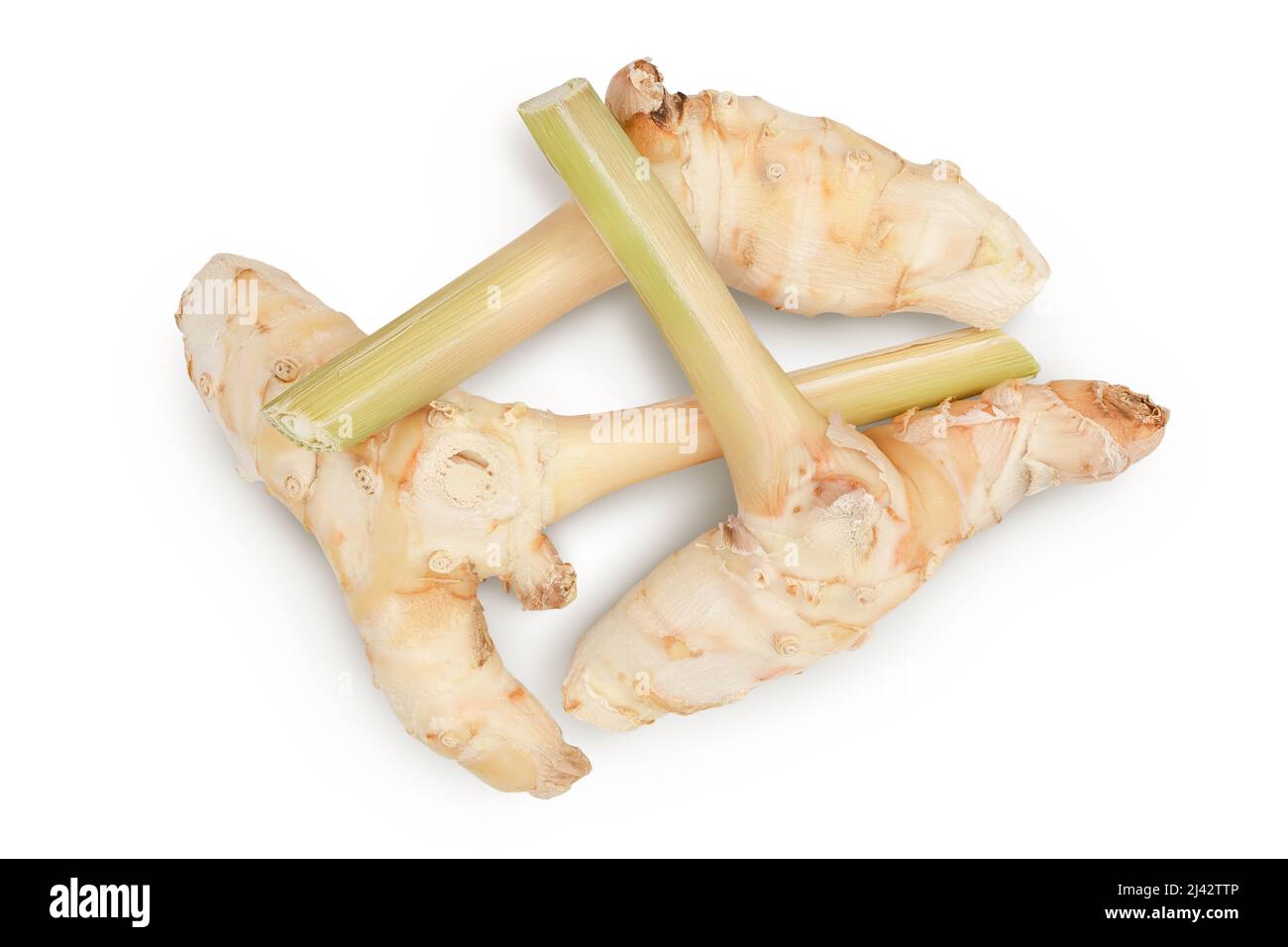Fresh galangal root isolated on white background with clipping path and ...