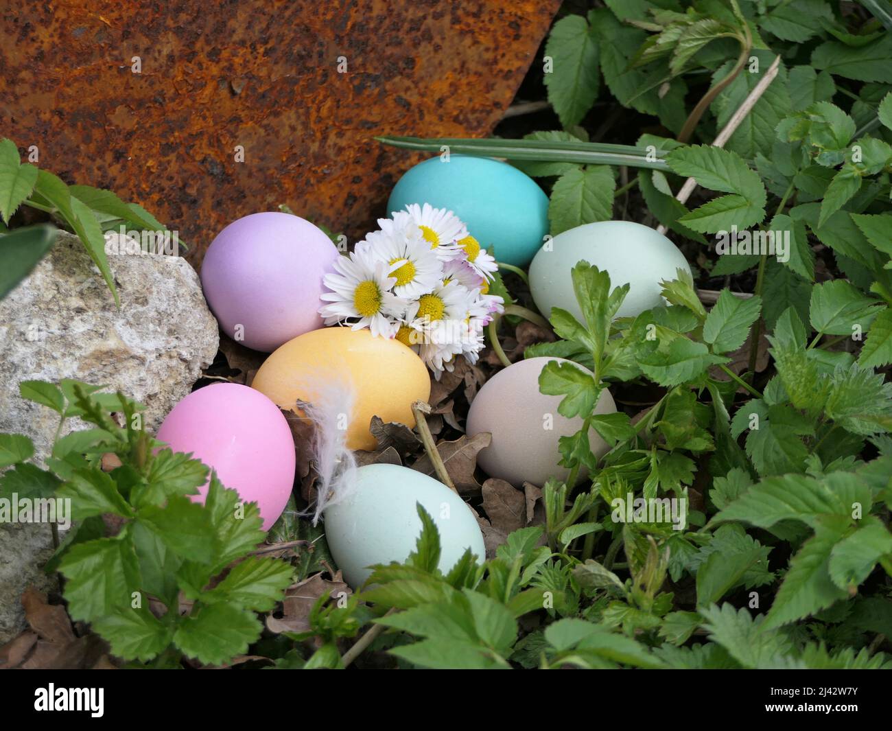 Seven colorful easter eggs hi-res stock photography and images - Alamy