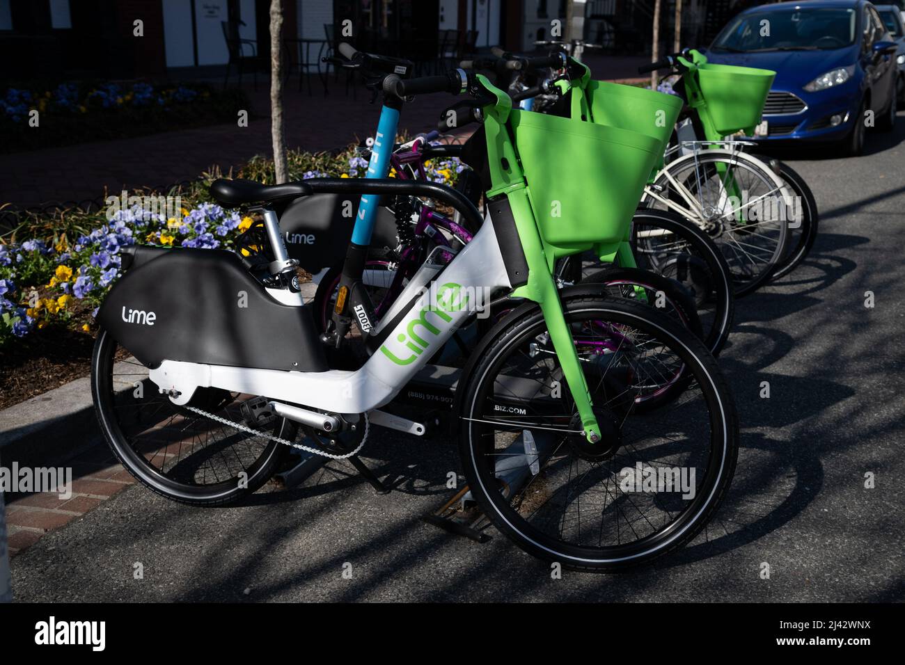 A general view of a bicycle rack with rental Lime bicycles and other ...