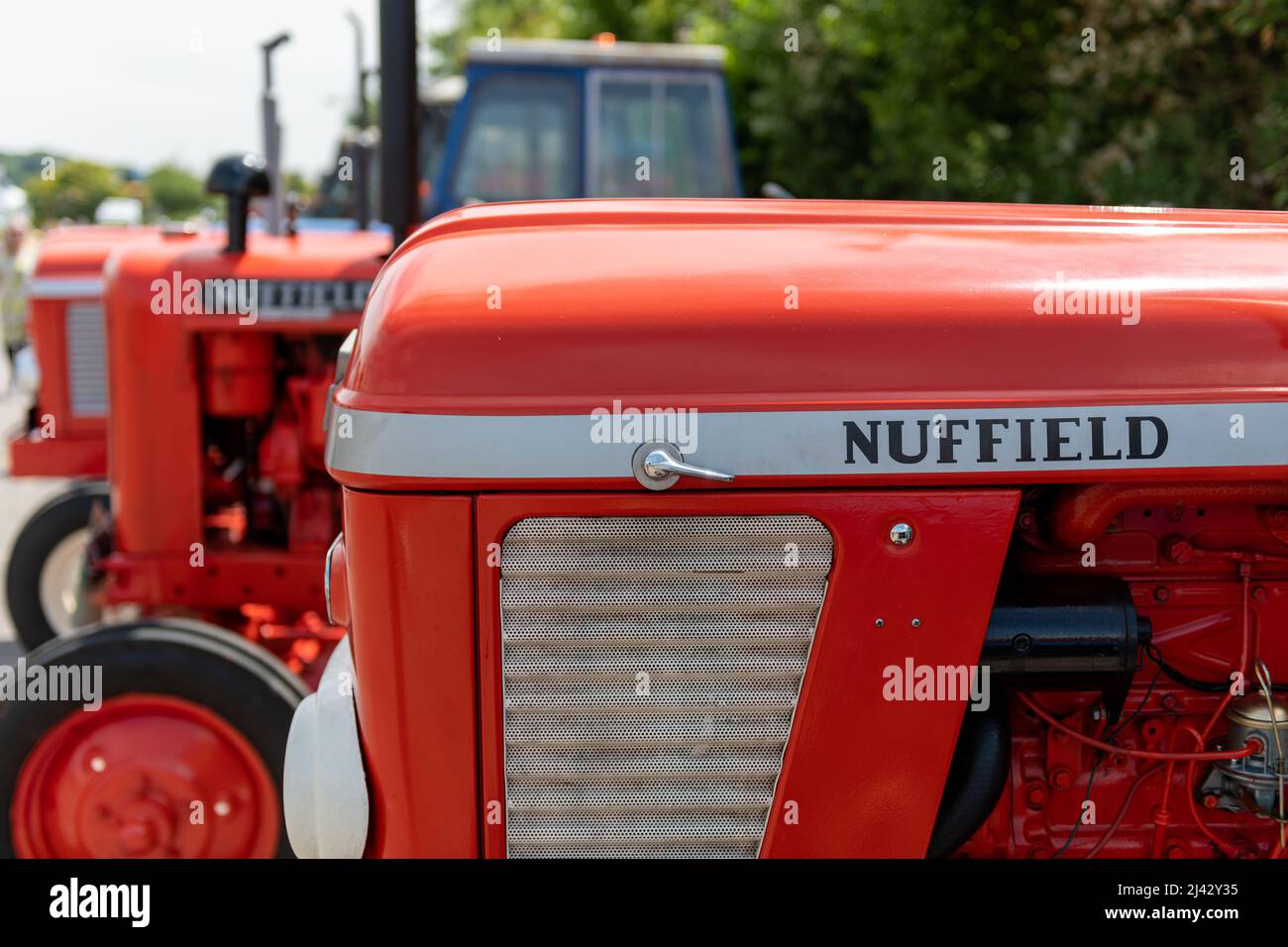 Honiton.Devon.United Kingdom.July 2nd 2021.A row of Nuffield tractors ...