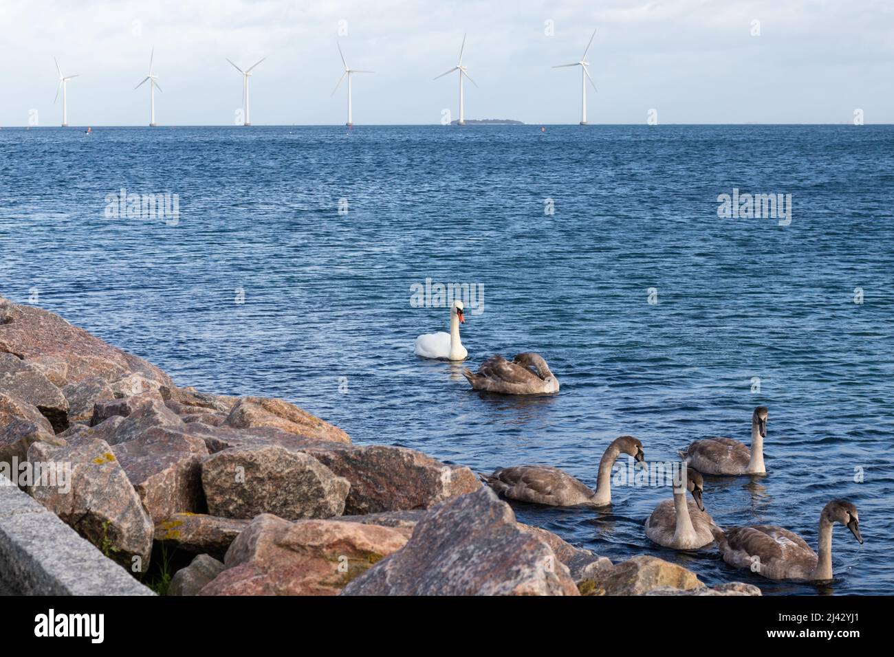 Windmills denmark hi-res stock photography and images - Alamy