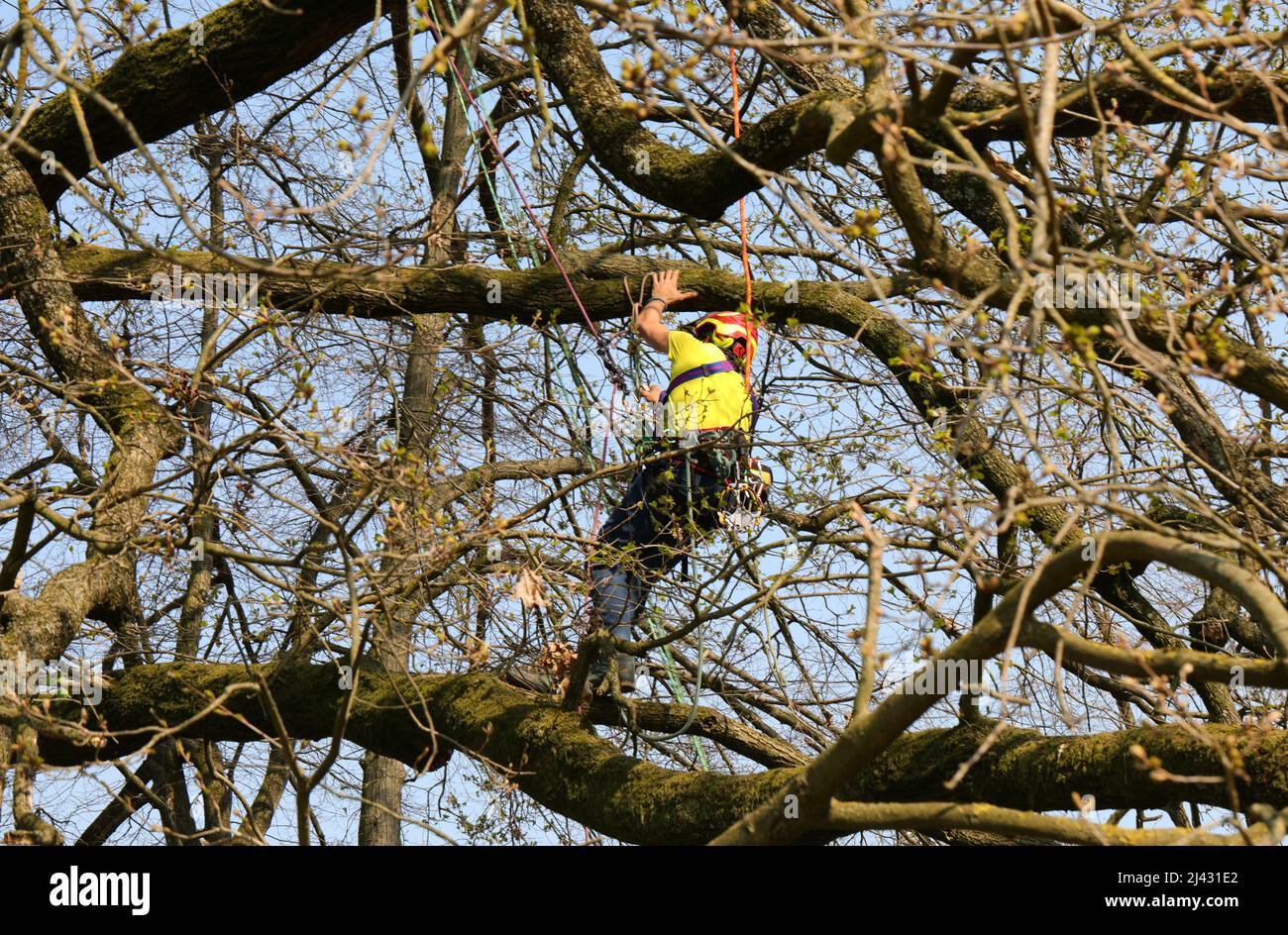 Acrobatic gardening hi-res stock photography and images - Alamy