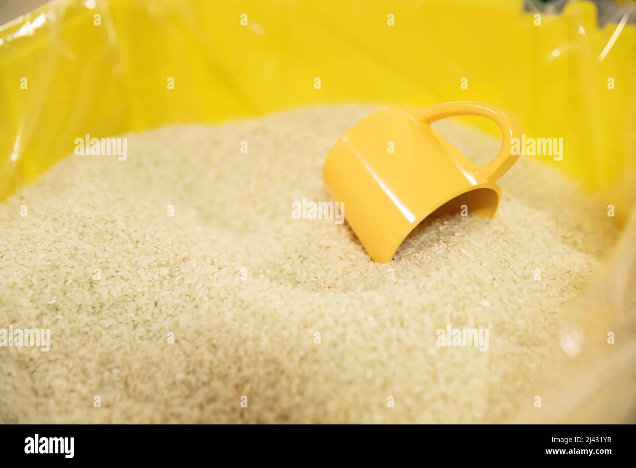 Yellow cup hi-res stock photography and images - Alamy