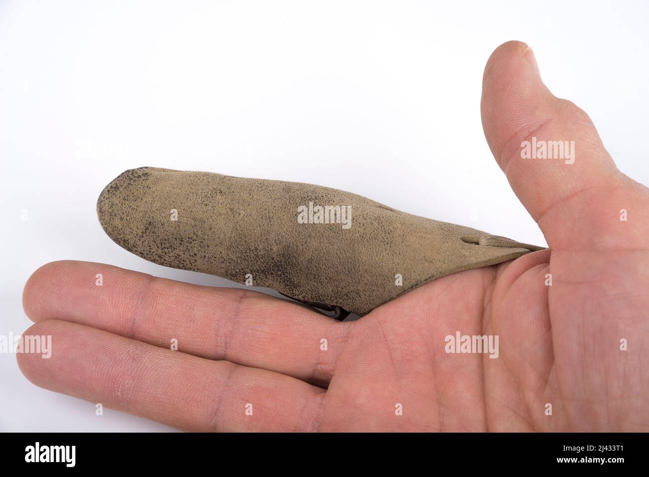 Finger guards hi-res stock photography and images - Alamy
