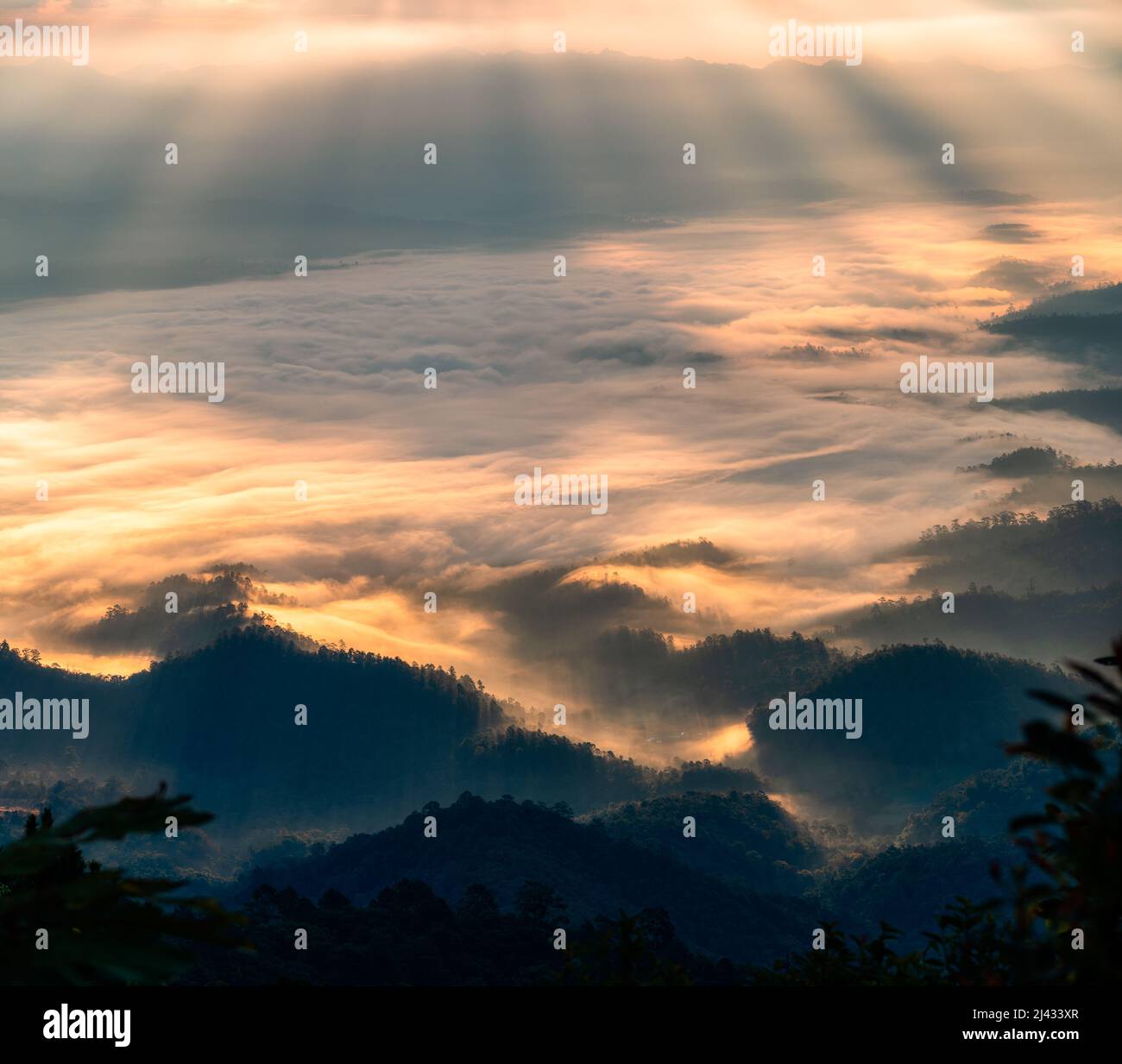 Beautiful golden sunrise shining on mountain with foggy in the valley ...