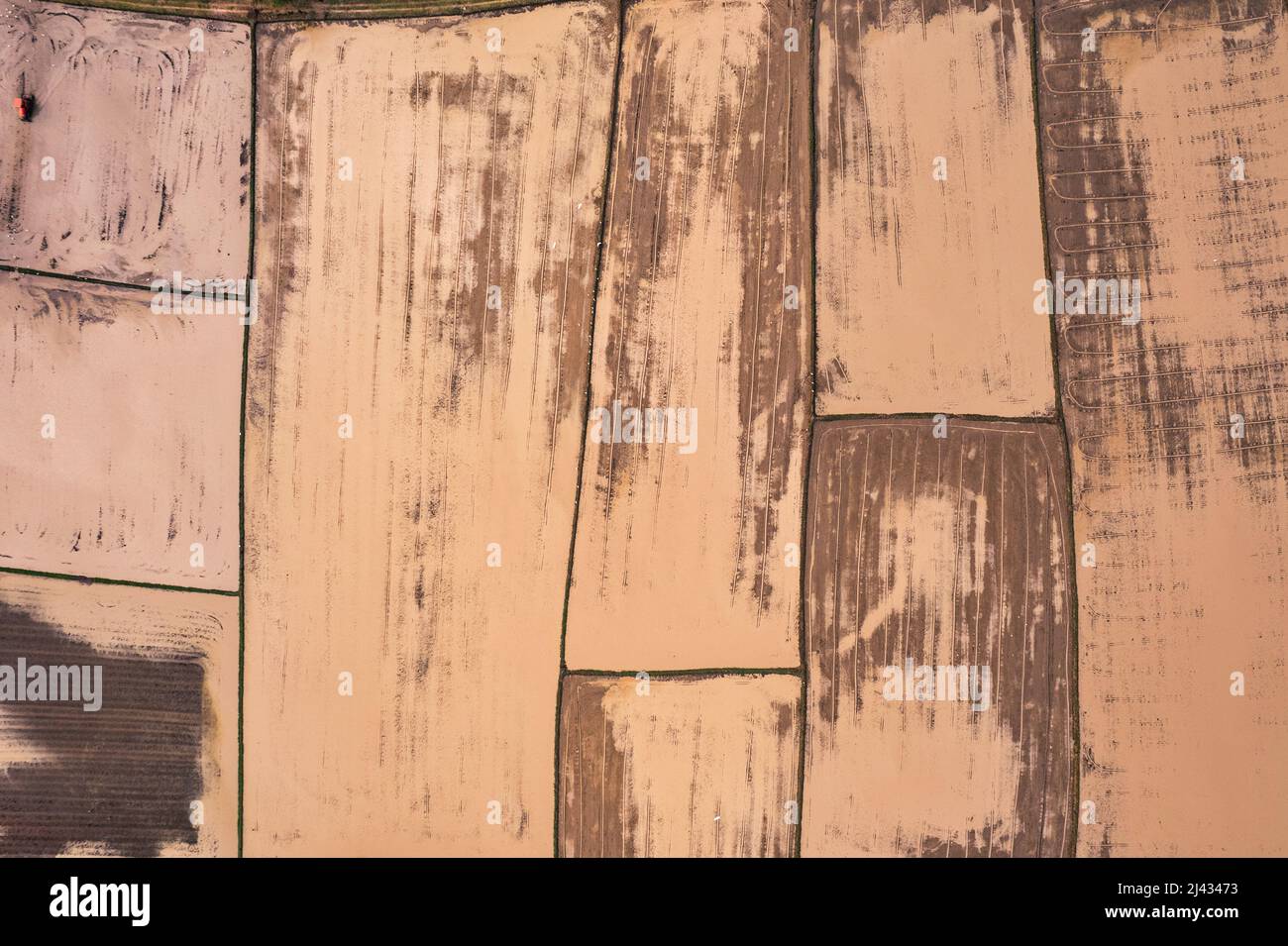 Top view of cultivated soil rice field plantation pattern with plowing ...