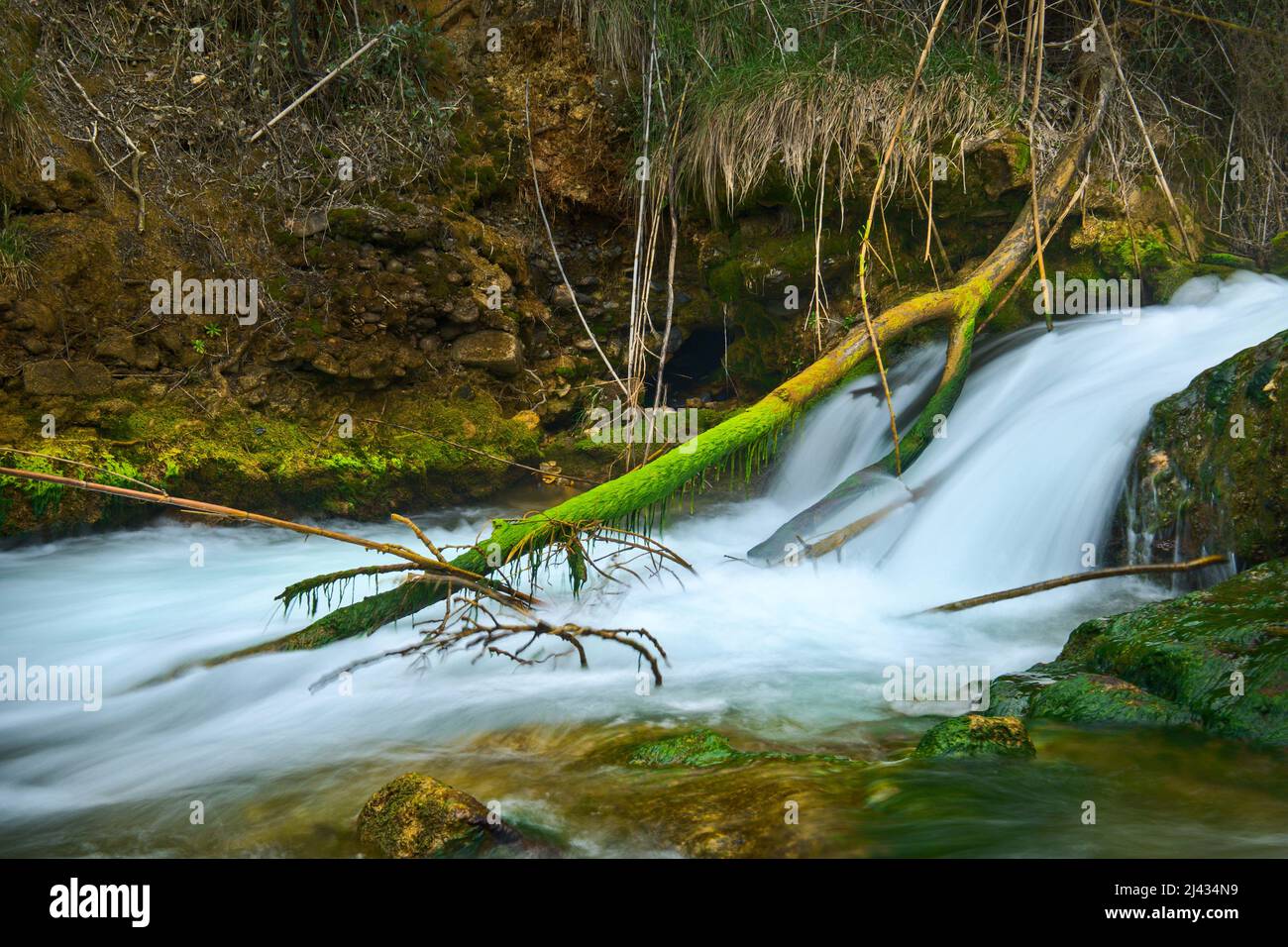 A beautiful waterfall in a forest with blue water and trees Stock Photo ...