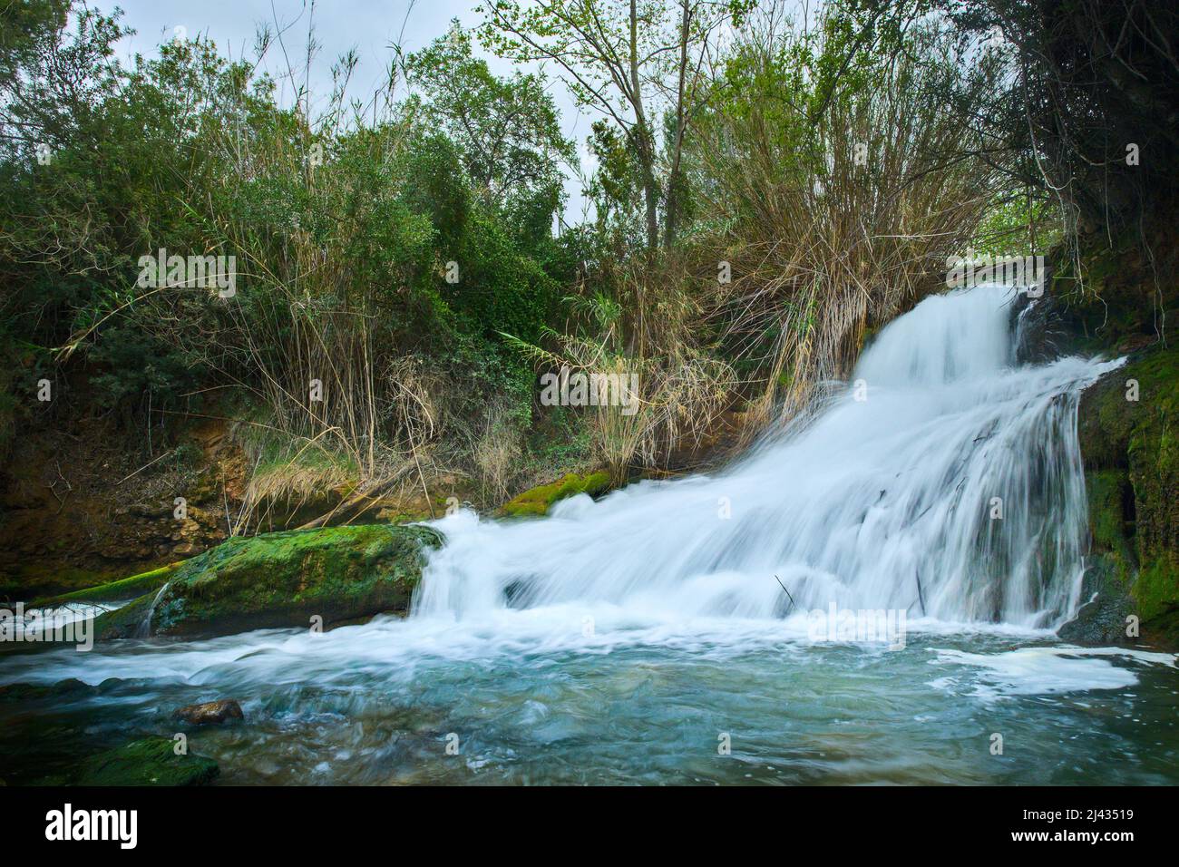 A beautiful waterfall in a forest with blue water and trees Stock Photo ...