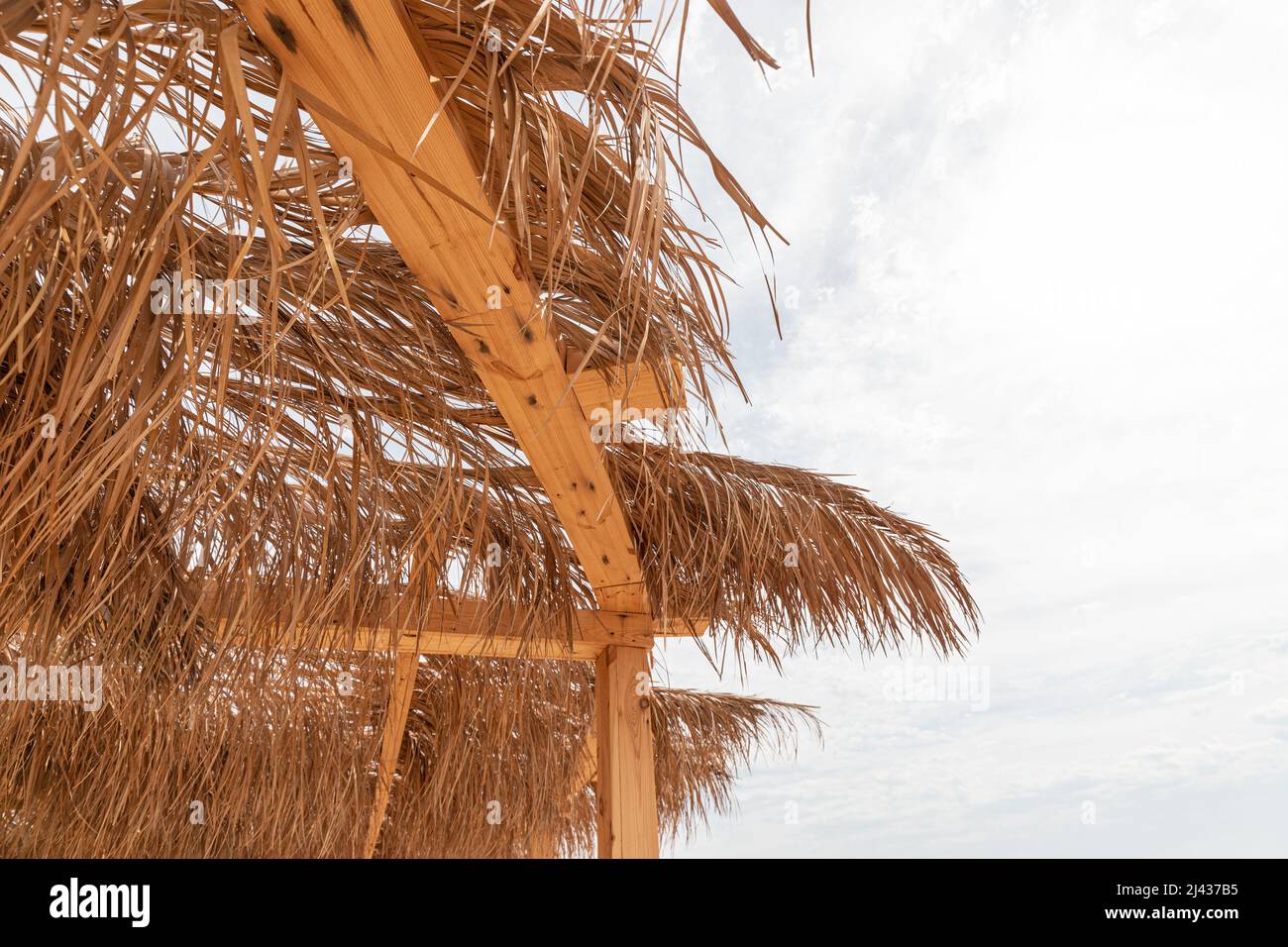 Beach with parasols and sunbeds with palm leaves at the Red Sea resort ...