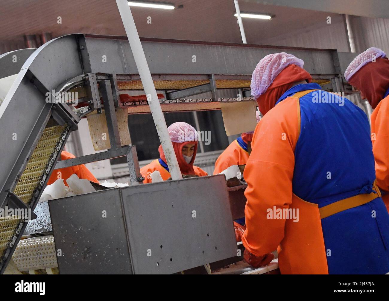 Press tour to the enterprises of the Norebo fishing holding. Genre ...