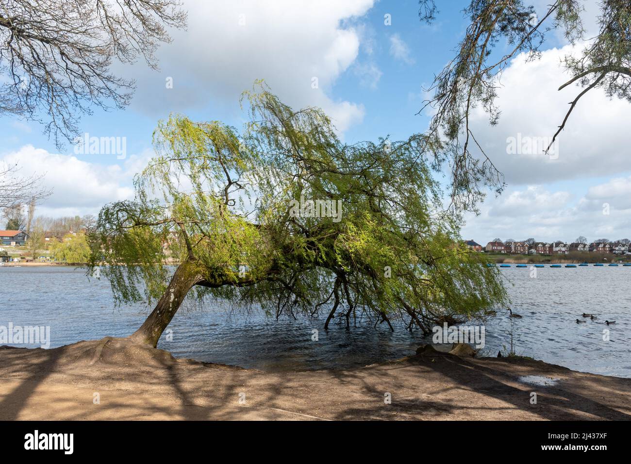 Petersfield Heath Pond, a visitor attraction and wildlife site in ...