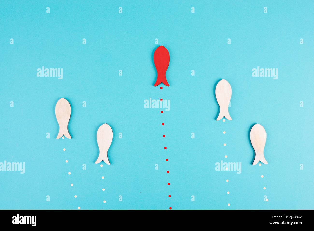 One red fish is swimming against the stream, opposite direction of the ...