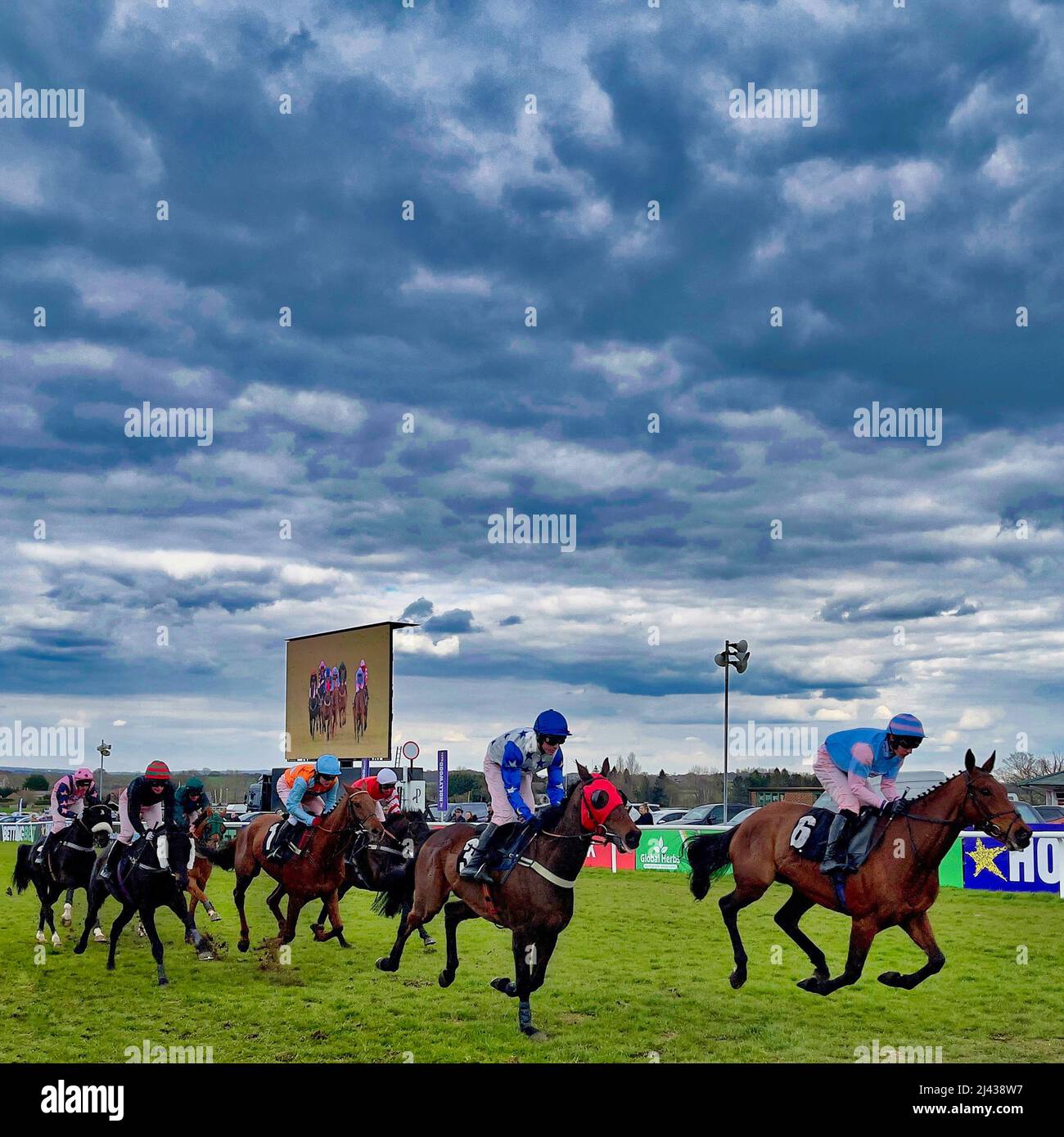 Equestrian front page hi-res stock photography and images - Alamy