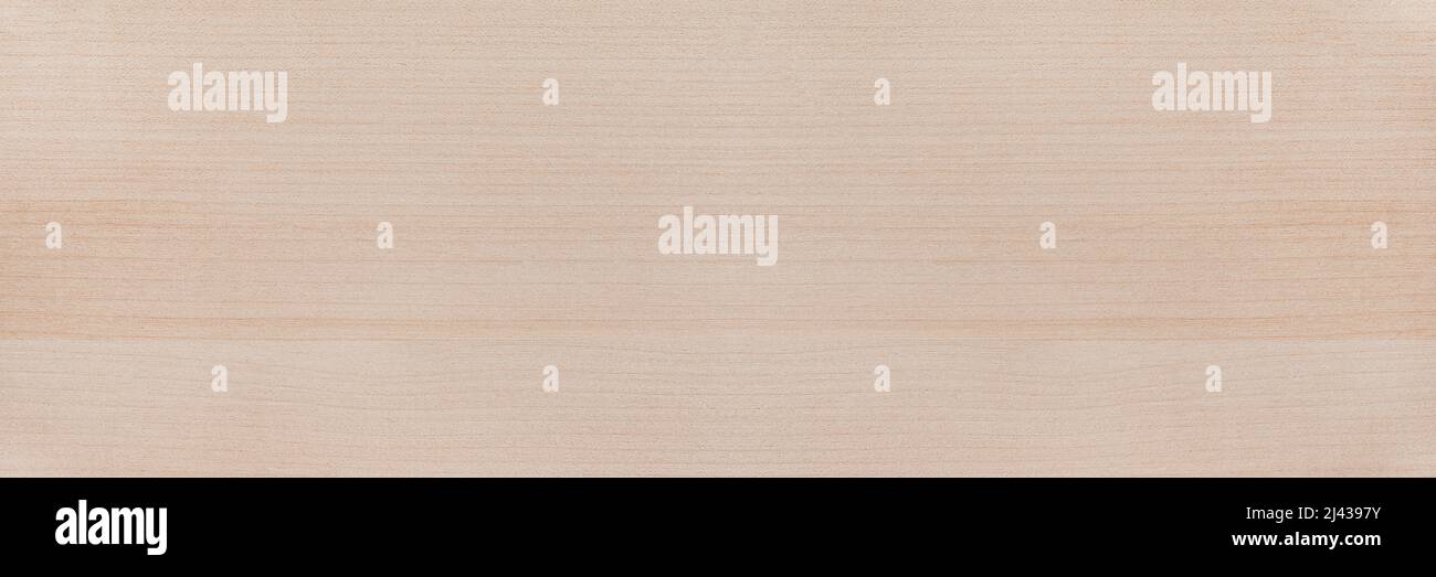 The texture of the birch board. Background and texture of light wood ...