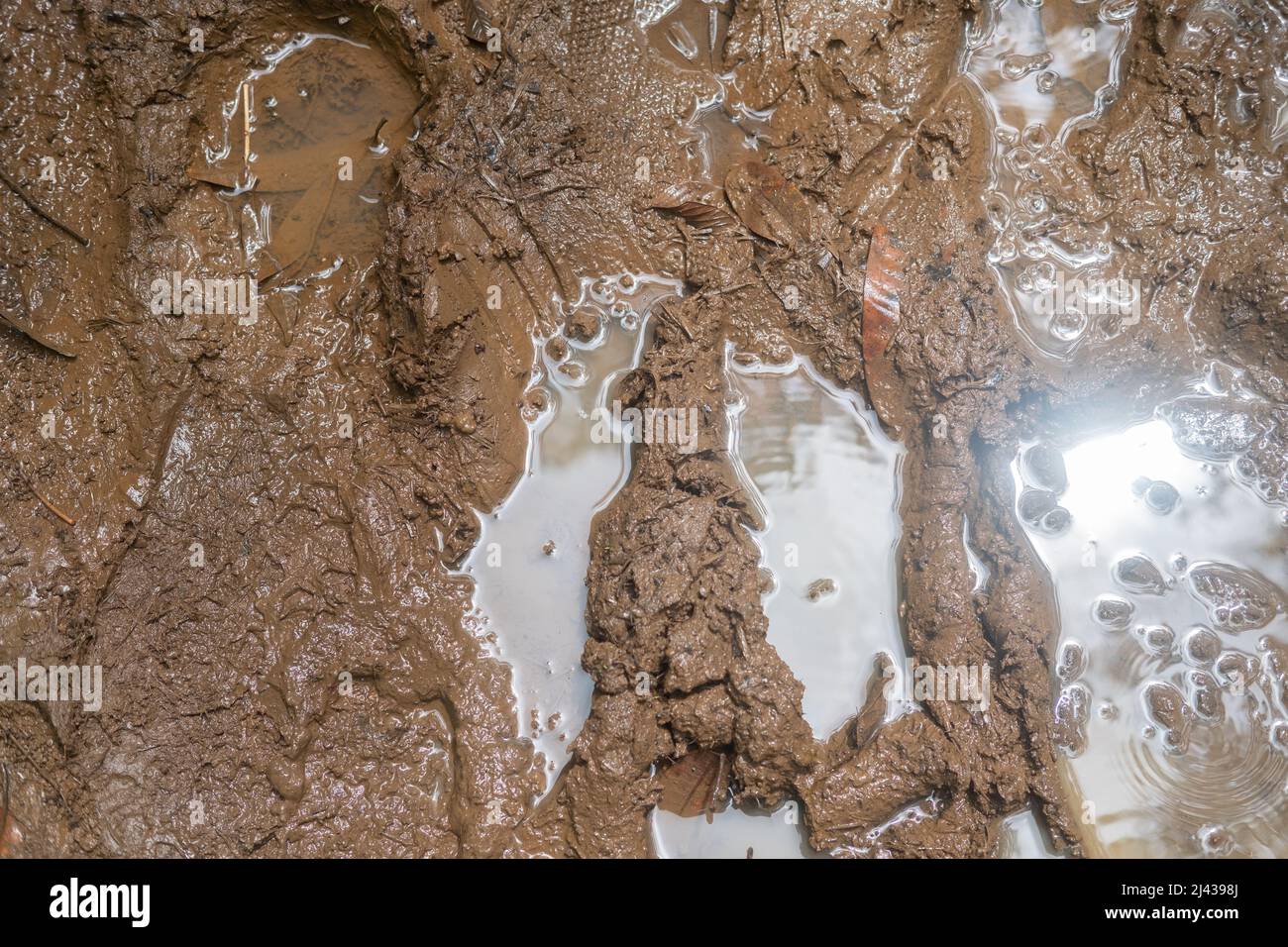 Puddles and mud hi-res stock photography and images - Alamy