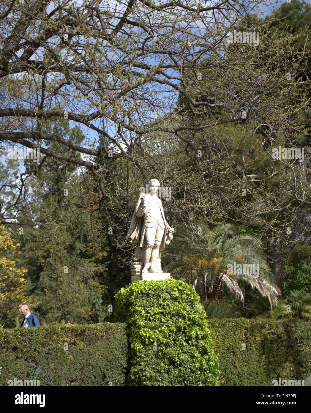Statue at the royal botanic garden of Madrid (Spain Stock Photo - Alamy