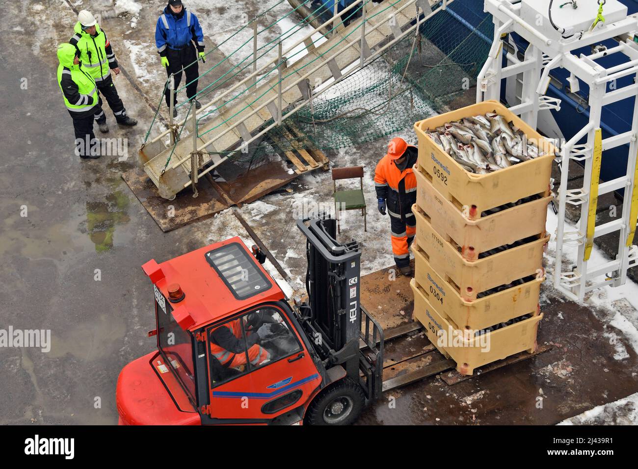 Press tour to the enterprises of the fishing holding "Norebo". Fish in ...