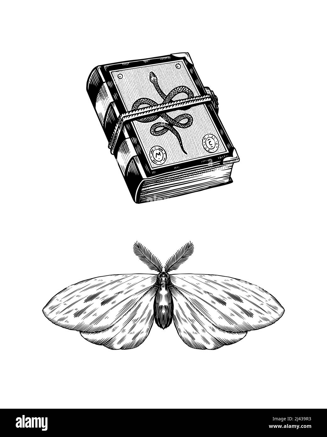 Skull book cover Stock Vector Images - Alamy