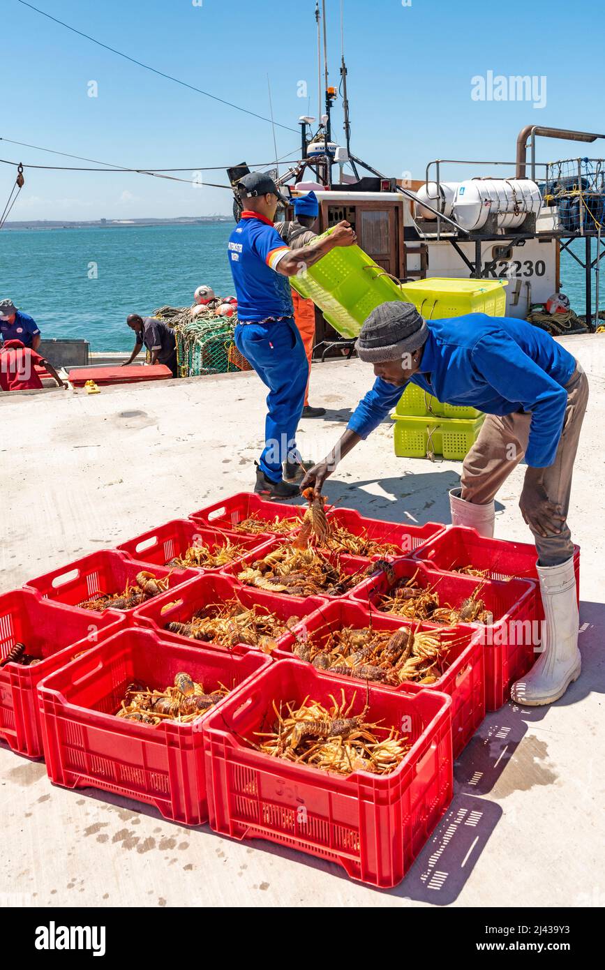 Saldanha Bay, West Coast, South Africa. 2022. Fishing boat alongside in ...