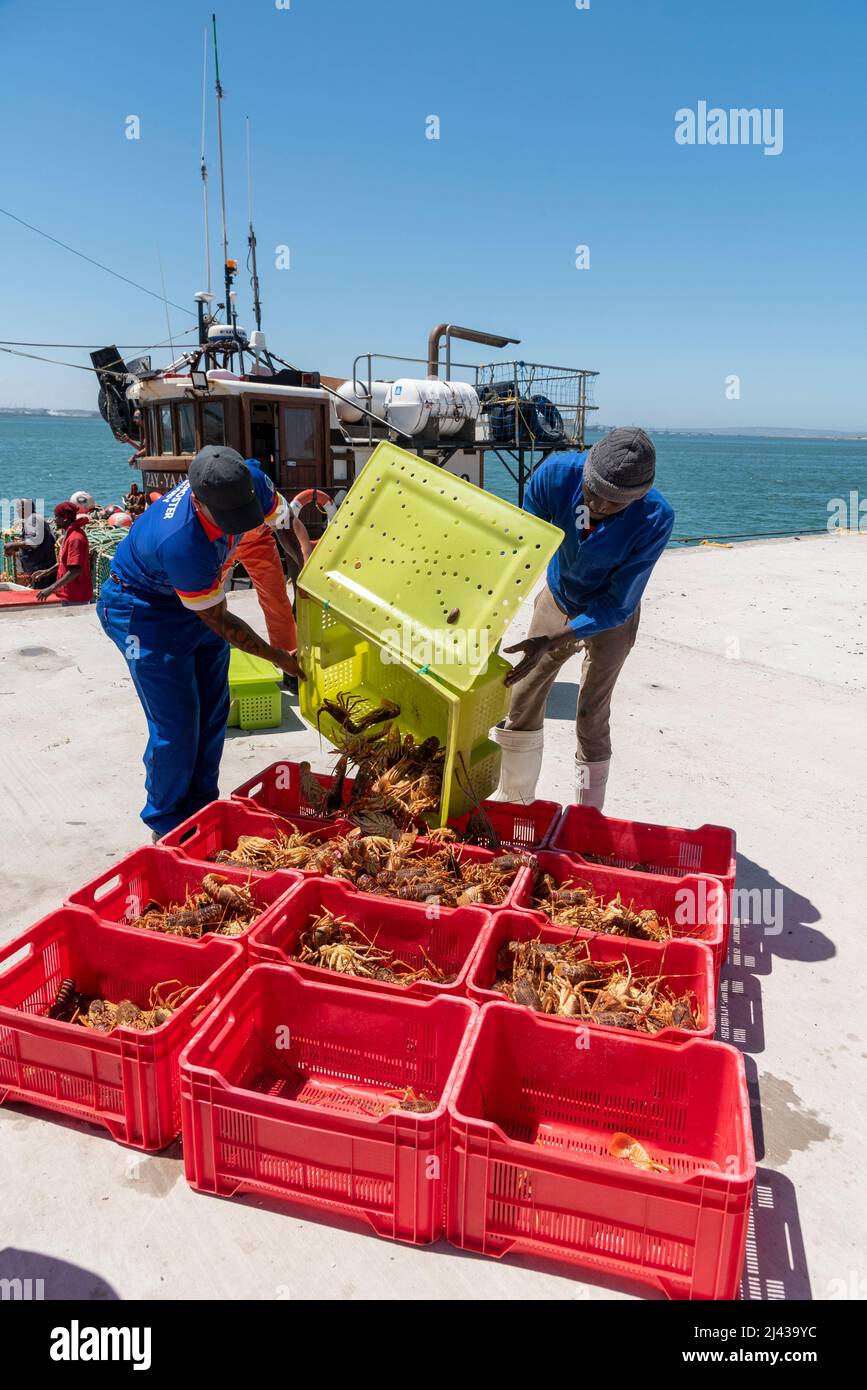 Saldanha Bay, West Coast, South Africa. 2022. Fishing boat alongside in ...
